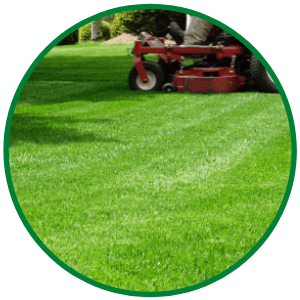 Lawn Mowing Service - Terra Lawn Care Specialists