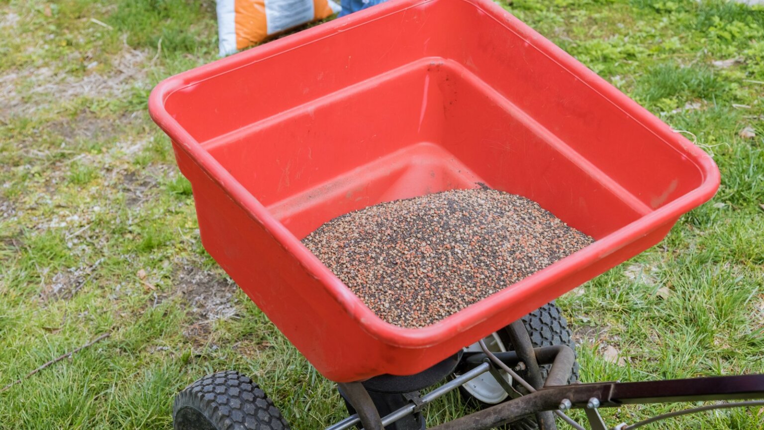 How Long Should You Water New Grass Seed A Seed To Sprout Watering Guide